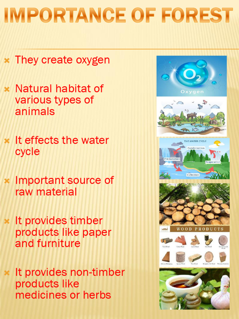 Importance of Forest | PDF