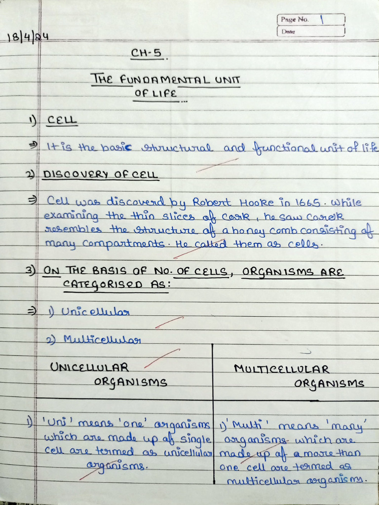 Cell Theory and Structure Explained | PDF | Osmosis | Biology