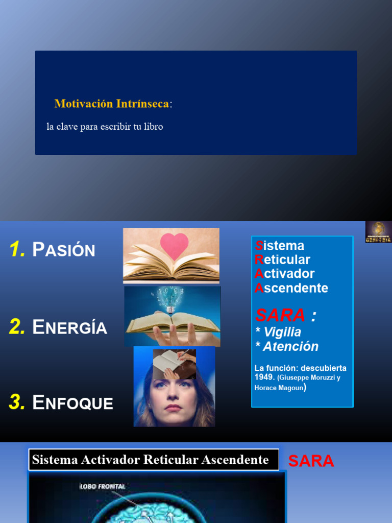 Motivacion Intrinseca La Clave para Escibir Tu Libro | PDF