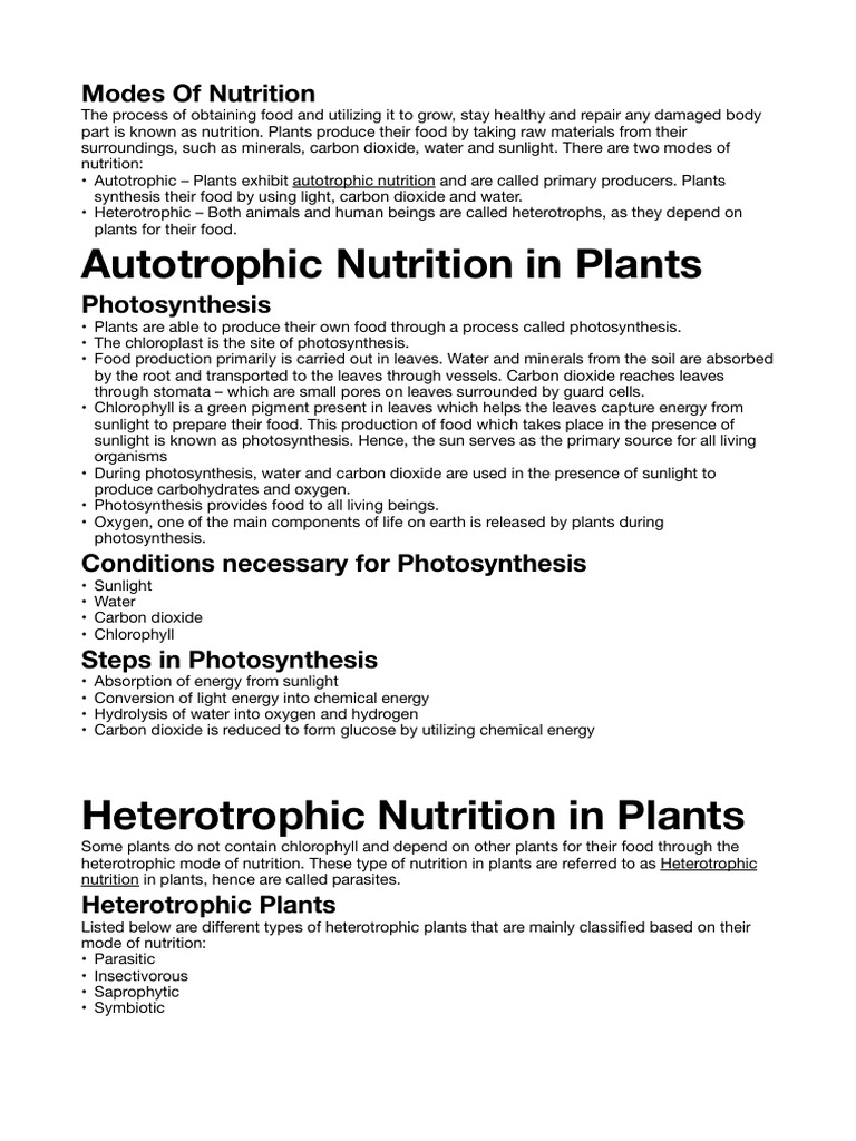 Modes of Nutrition 2 | PDF | Parasitism | Photosynthesis