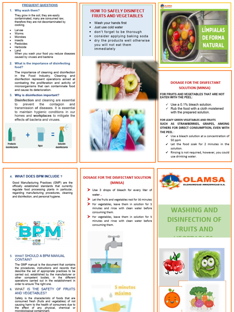 Washing and Disinfection of Fruits and Vegetables Triptych | Download Free PDF | Disinfectant ...