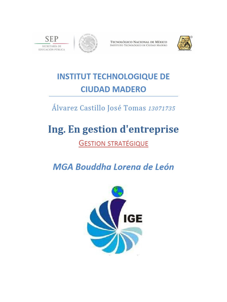 Unité 1 Gestion Stratégique | PDF | Gestion stratégique | Business