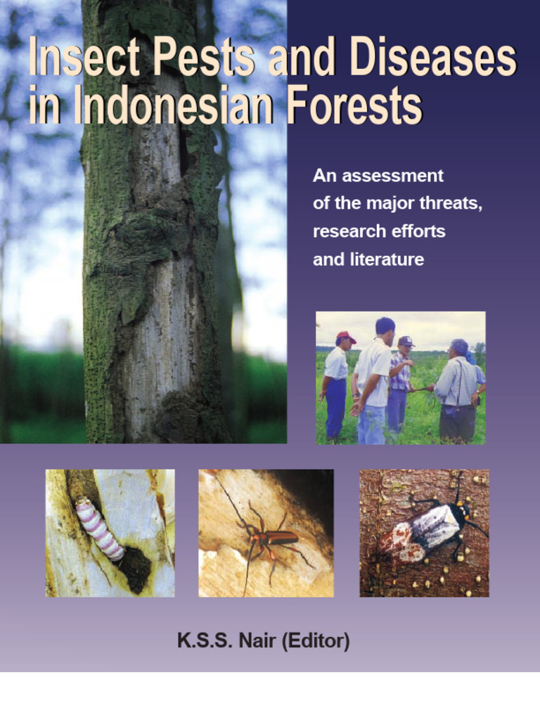 Insect Pests | PDF | Forests | Deforestation