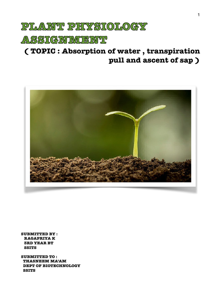Water Absorption and Transpiration in Plants | PDF | Root | Plant Stem