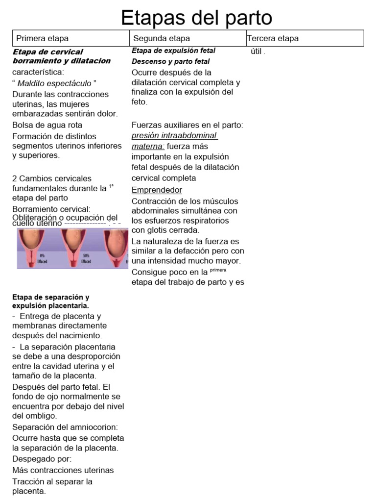 Etapas Del Parto | PDF | Parto | Placenta