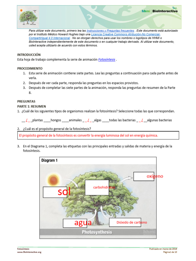 FOTOSÍNTESIS: Hoja de Trabajo para Estudiantes (Con Respuestas) | PDF ...