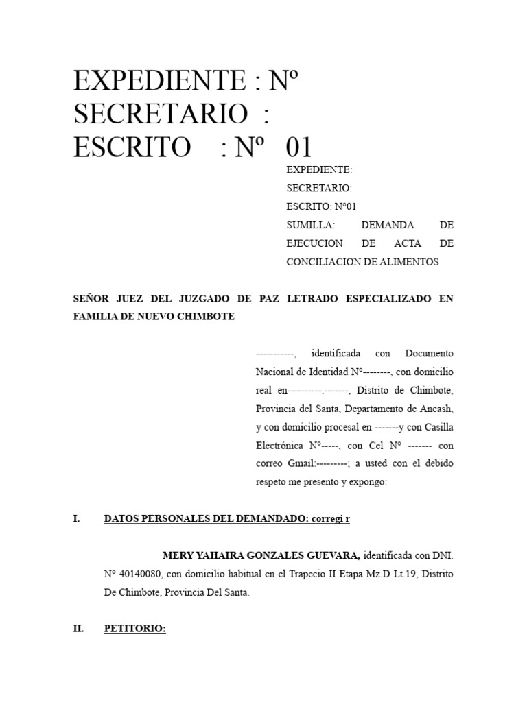 Demanda Ejecucion de Acta de Conciliacion ESTUDIO de VALLEJO CASO 01 ... Demanda Ejecucion de Acta de Conciliacion ESTUDIO de VALLEJO CASO 01 ...