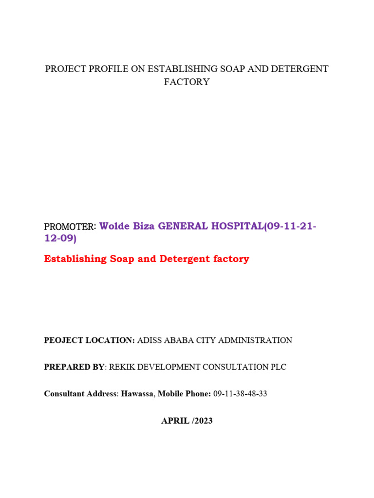 Business Plan Liquid Soap | PDF | Brand | Advertising