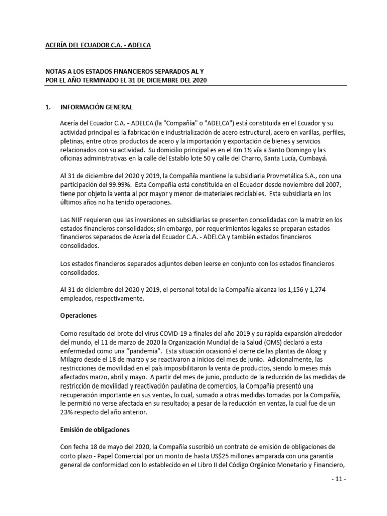 Notas Estados Financieron 2020 Documento 1712283105779 Descargar