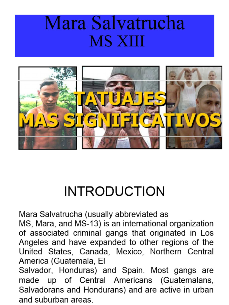 13.-Tattoos in Los Maras | PDF | Ms 13 | Gang