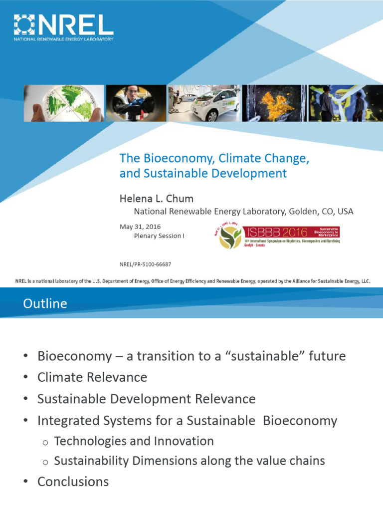 Bioeconomy and CC | PDF | Sustainability | Green Chemistry