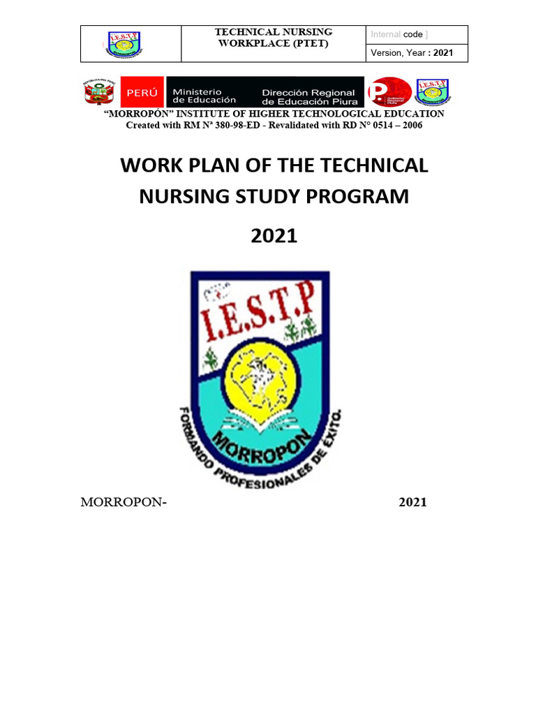 Nursing Work Plan 2021 | PDF | Nursing | Teachers