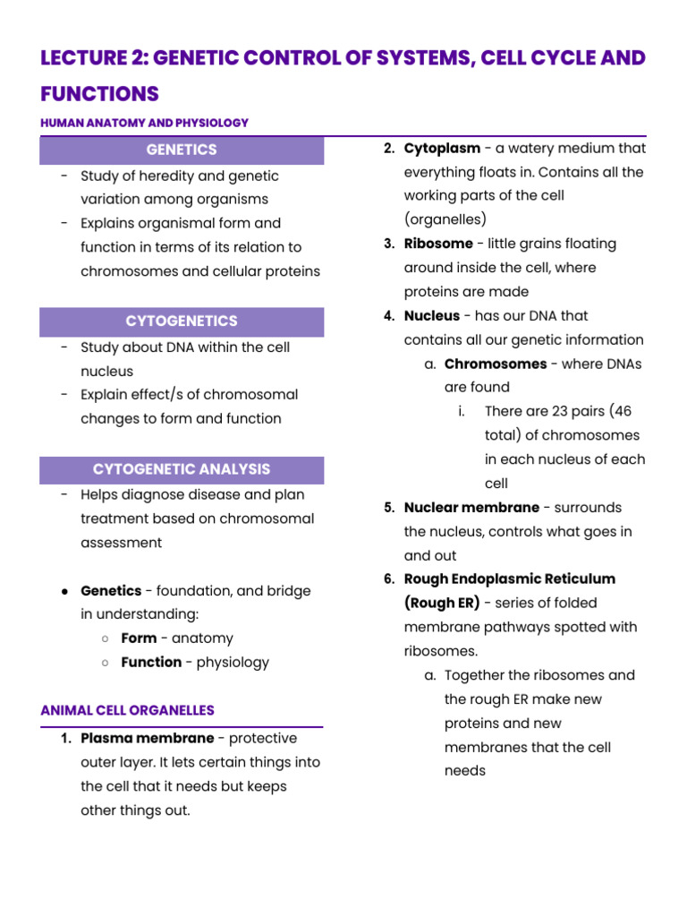 Genetic Control of Systems, Cell Cycle and Functions | PDF ...