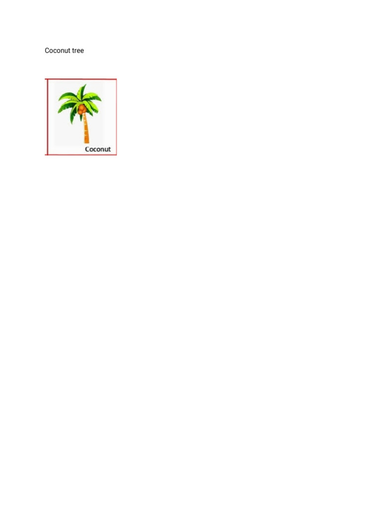 Coconut Tree | PDF