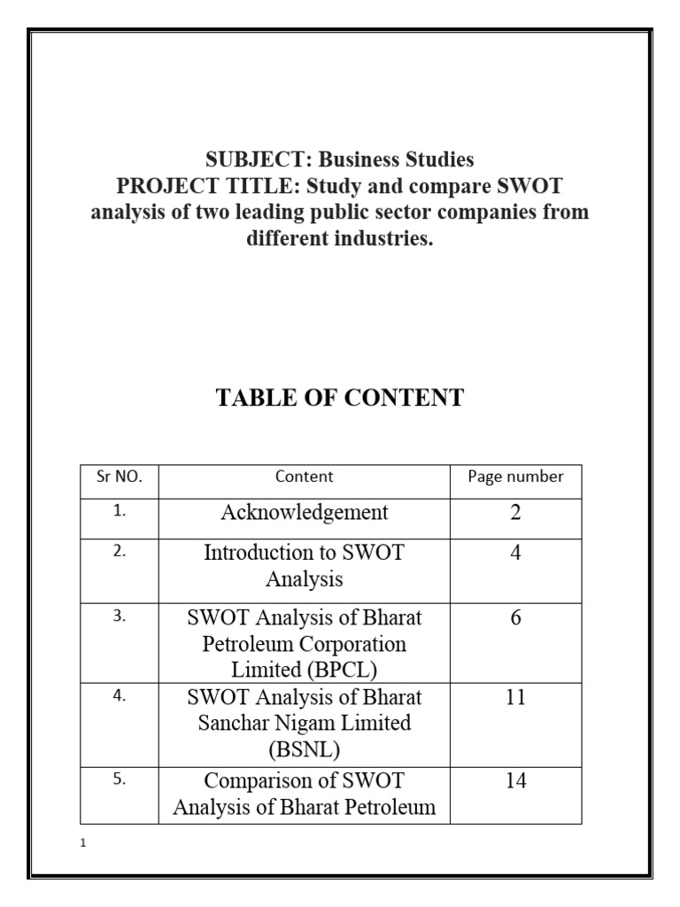 Business Studies Project Grade 11 | PDF | Swot Analysis | Business