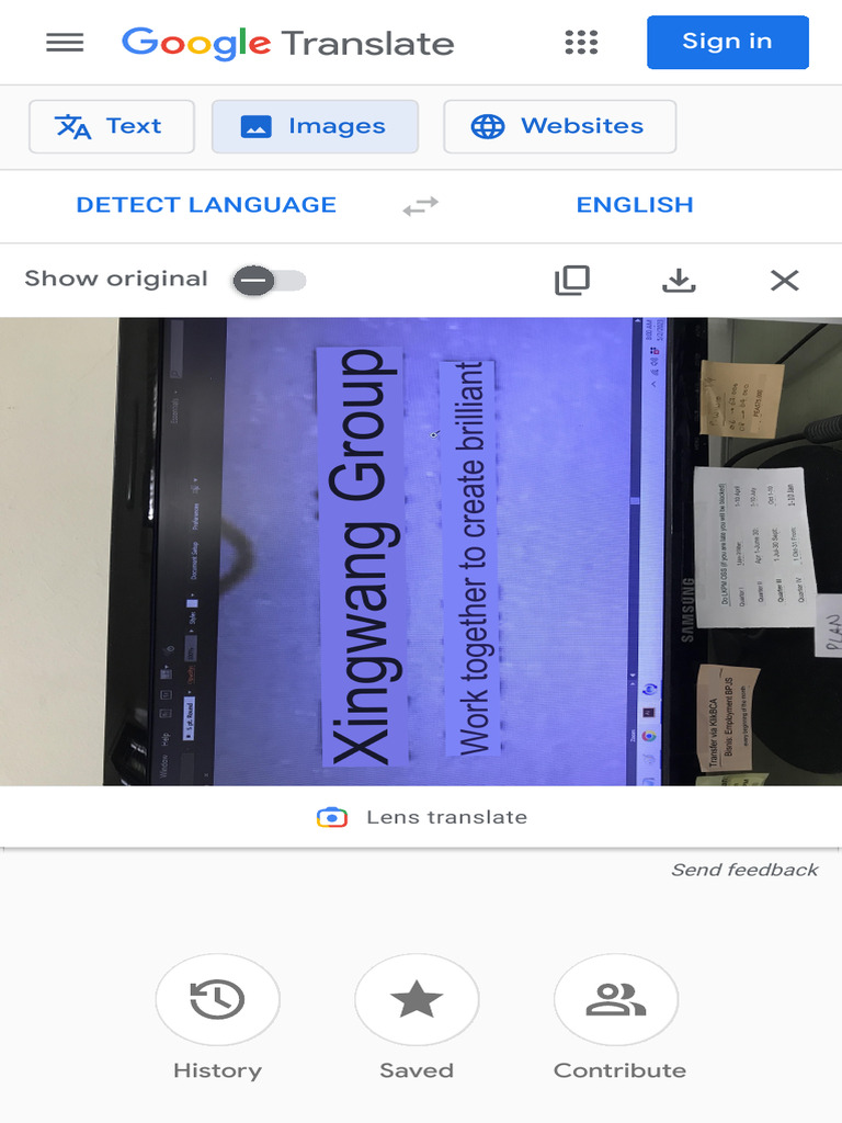 Google Translate | PDF