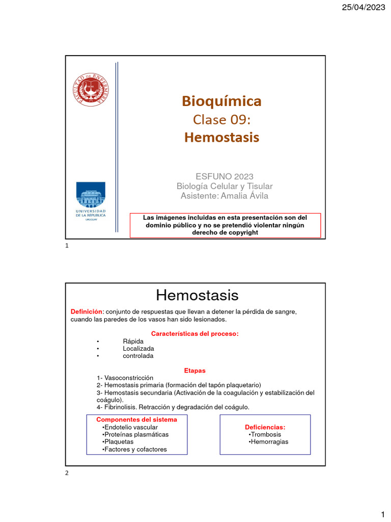 Clase 09 Hemostasis 2023 | Descargar gratis PDF | Plaqueta | Coagulación