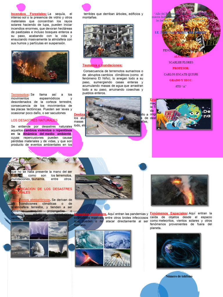 Triptico Desastres Forestales | PDF | Desastres naturales | Temblores Triptico Desastres Forestales | PDF | Desastres naturales | Temblores