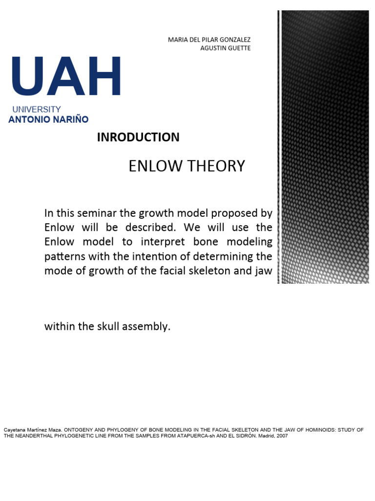 Enlow Theory | PDF | Human Anatomy