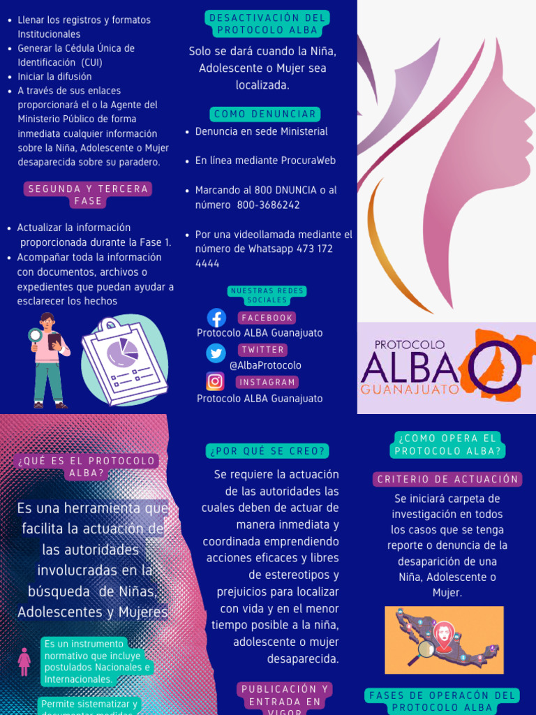Tríptico Protocolo Alba | PDF