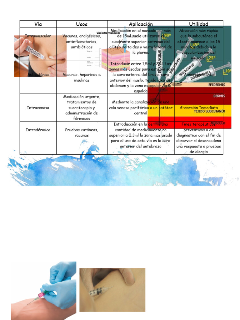 Actividad 5 Vias Inyectables | PDF