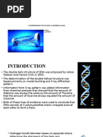 3D DNA Double Helix Model Project | PDF