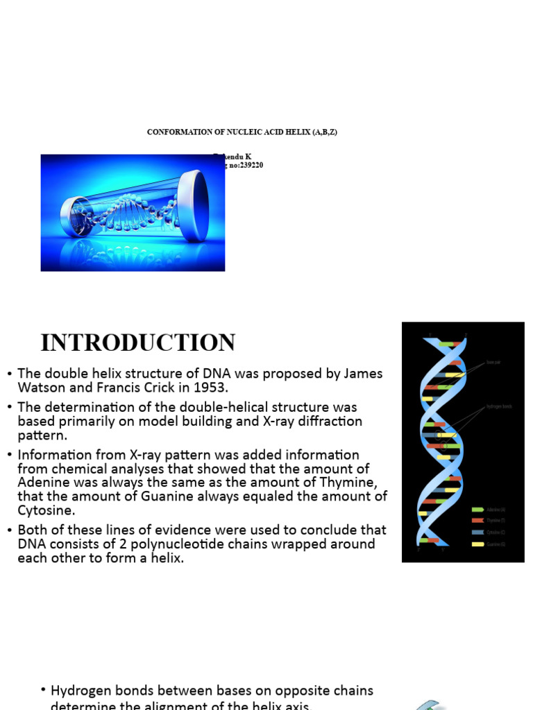 Conformation of Nucleic Acid Helix Edited 2, (Autosaved) | PDF | Dna ...