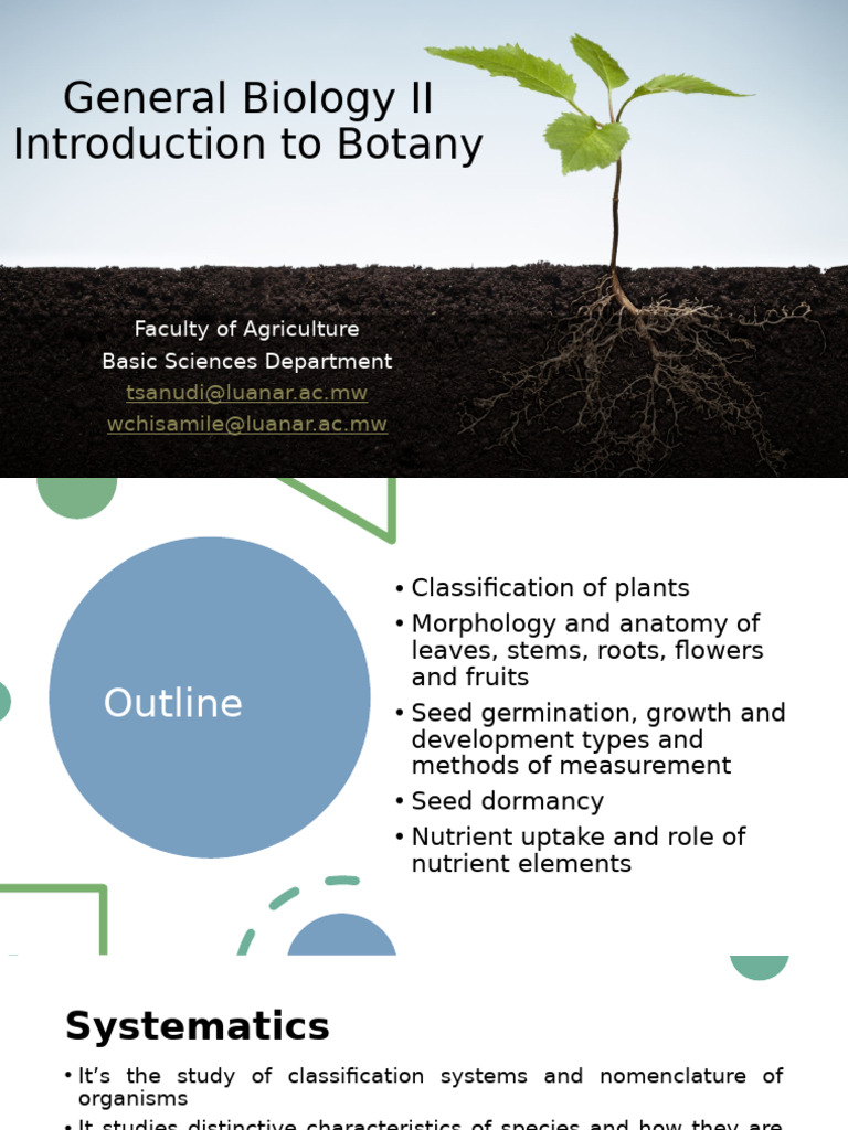 Botany 101 | PDF | Leaf | Flowers
