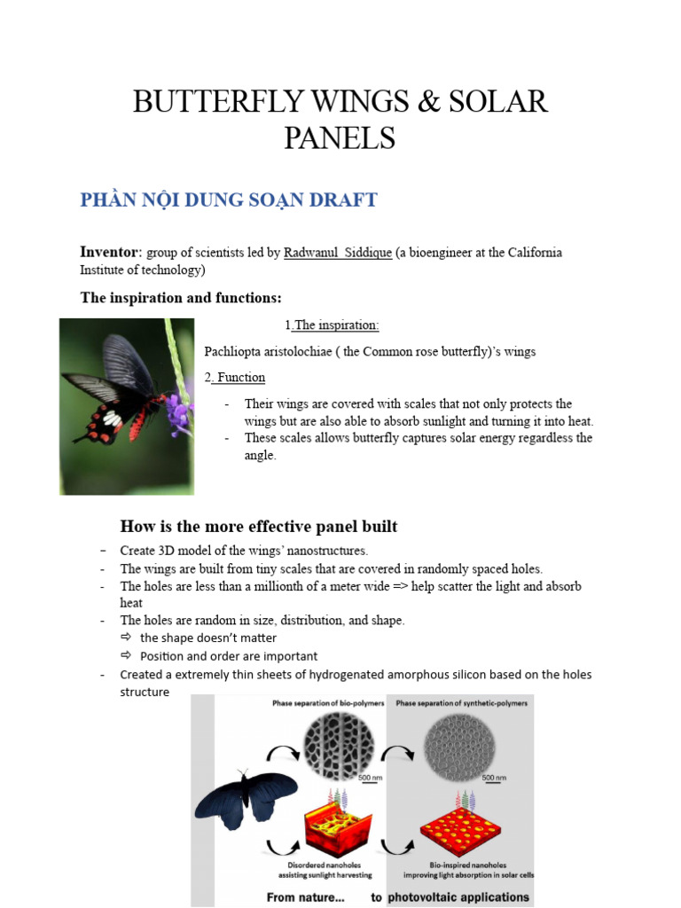 Butterfly Wings & Solar Panels | PDF | Solar Cell | Photovoltaics