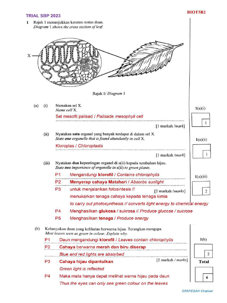 Trial Bio 2023 t5 b2 Jawapanz | PDF