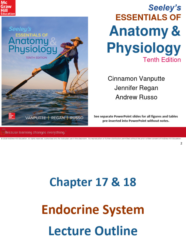 Endocrine System Overview and Functions | PDF | Pancreas | Adrenal Gland