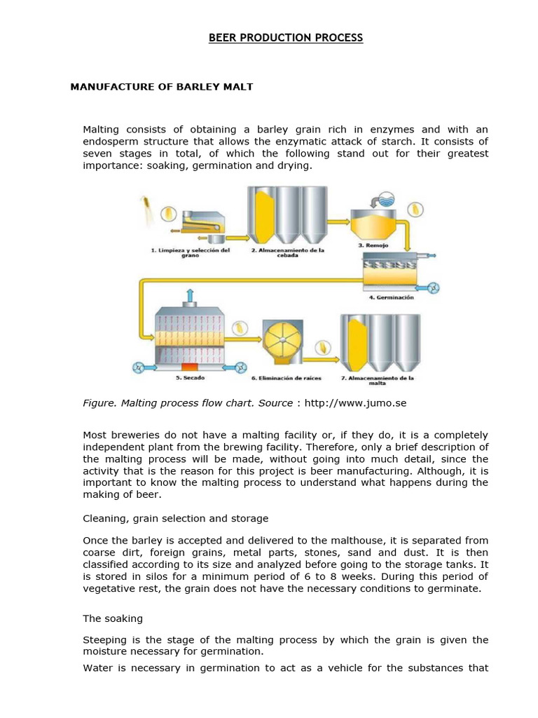 Beer Production Process | PDF | Brewing | Malt
