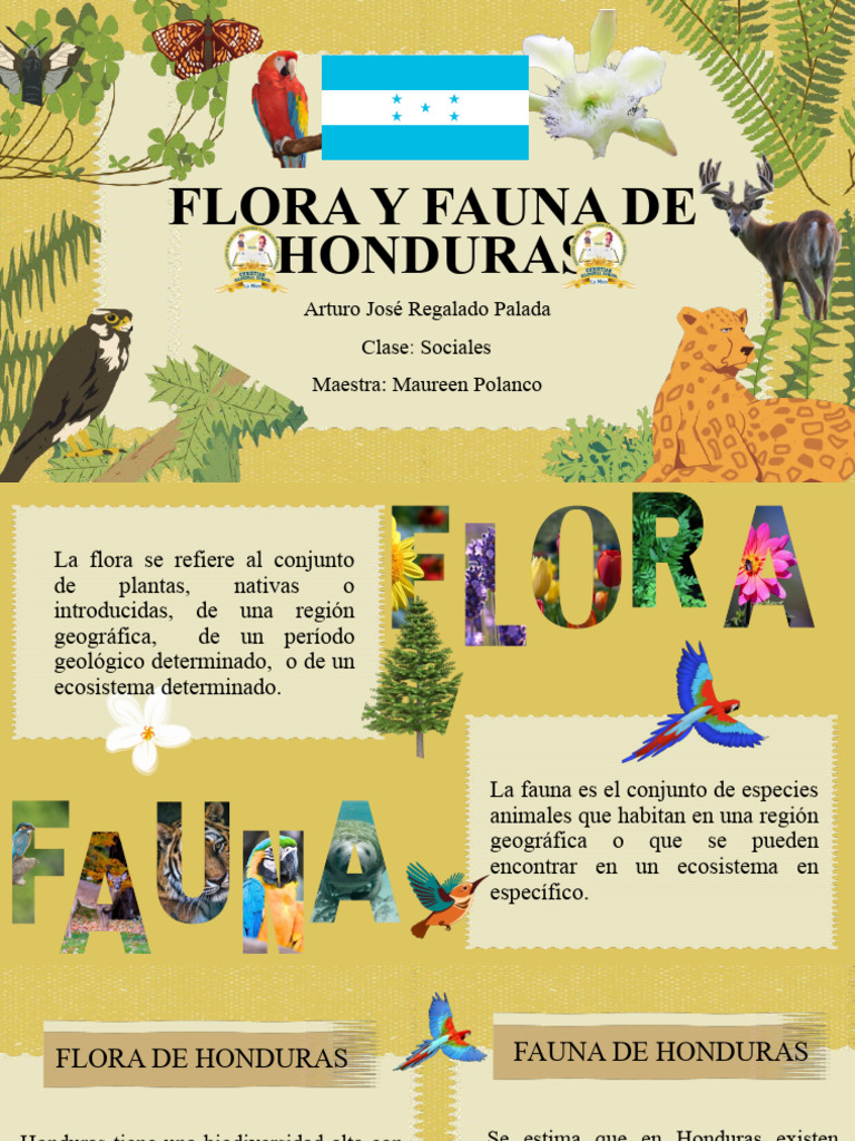 Flora y Fauna de Honduras | PDF | Fauna | Honduras
