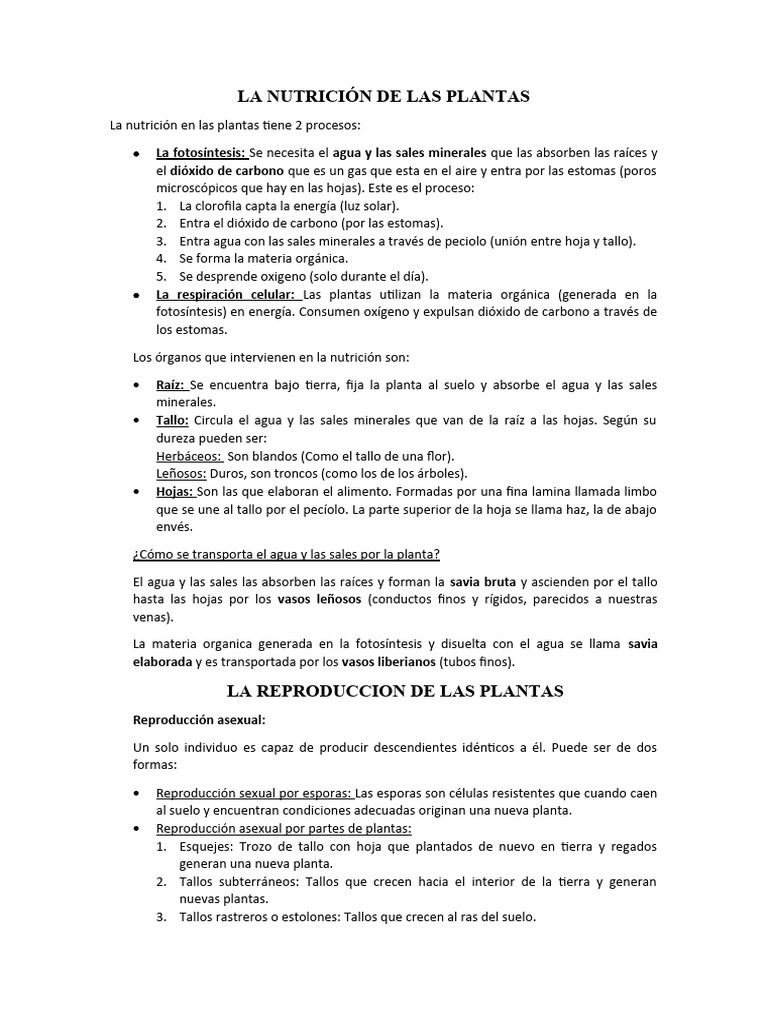La Nutrición De Las Plantas Pdf Plantas Flores