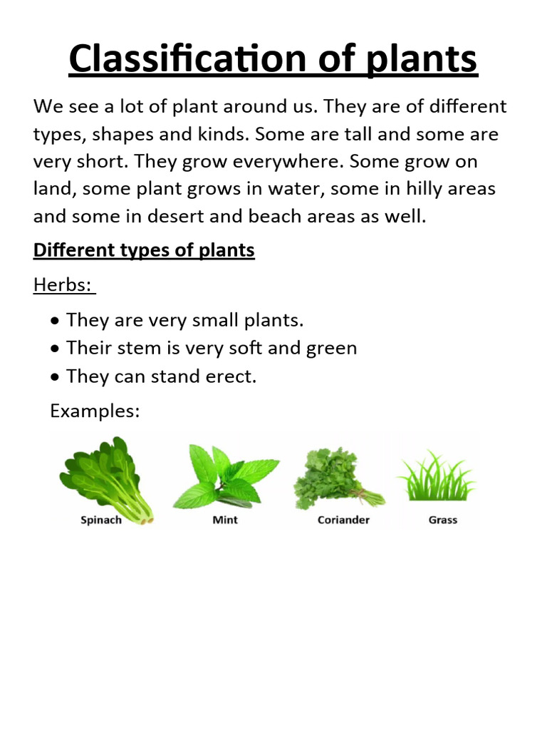 Classification of Plants | PDF