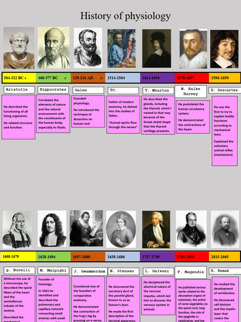 Timeline History of Physiology | PDF | Nervous System | Physiology