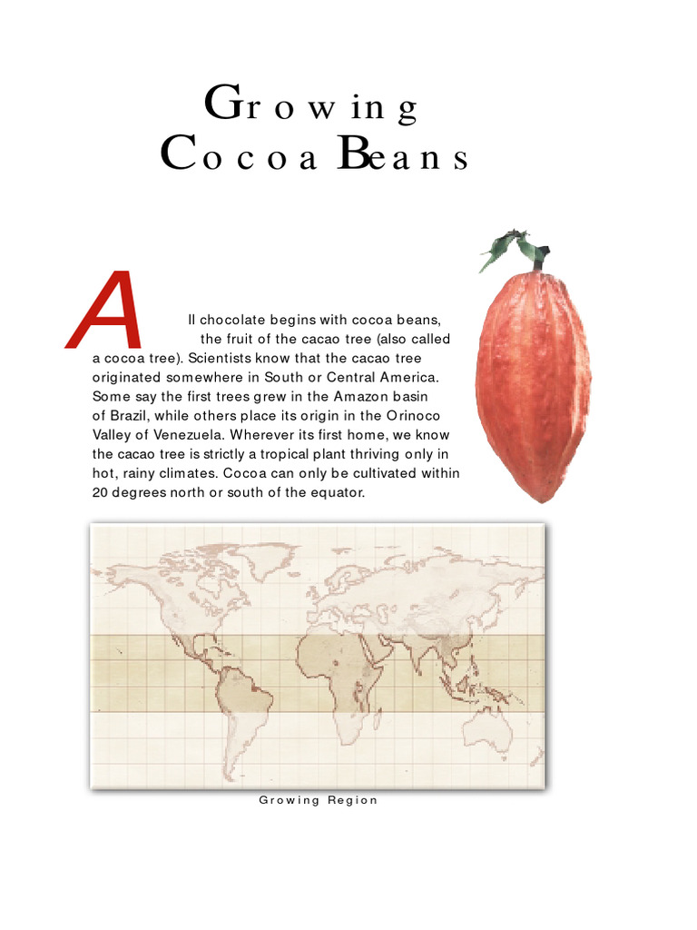 Story of Chocolate | PDF | Cocoa Bean | Chocolate