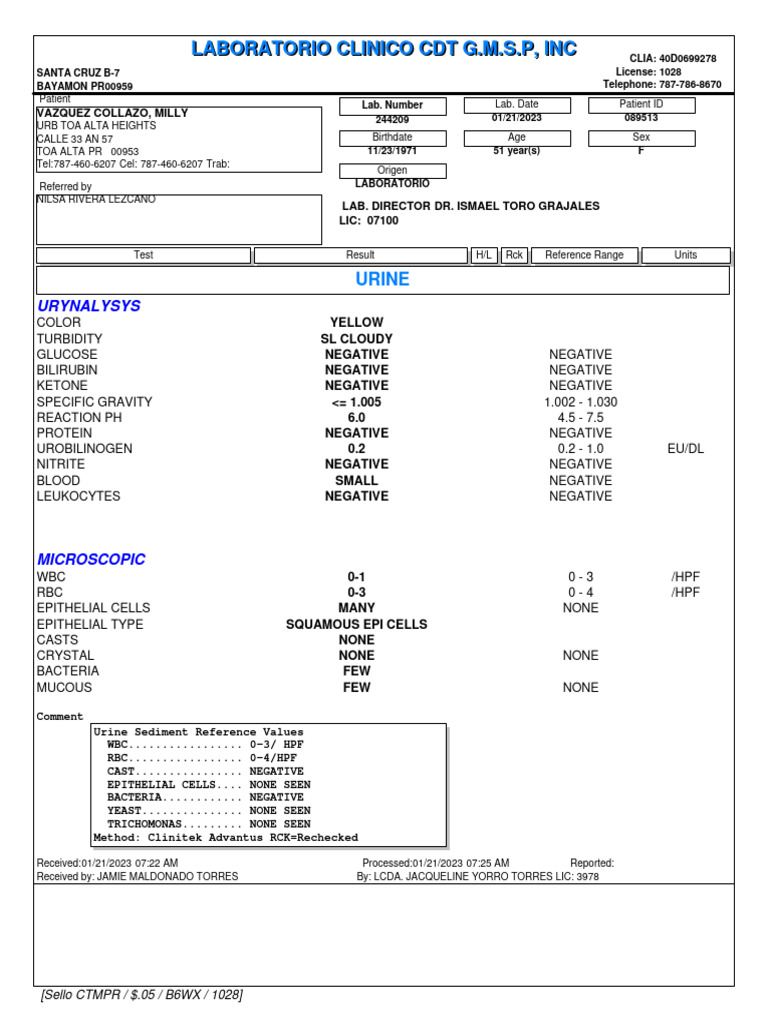 Urinalysis Nonauto W Scope | PDF | Nephrology | Genitourinary System