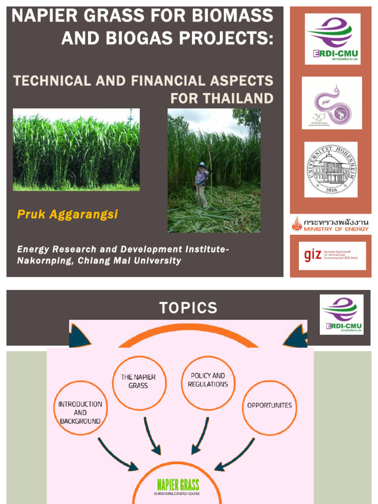 5 Attachment E Napier Grass For Biomass and Biogas Projects Technical ...