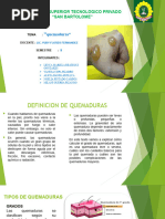 Quemaduras Faciales y Signos de Flogosis | PDF | Quemar | Inflamación