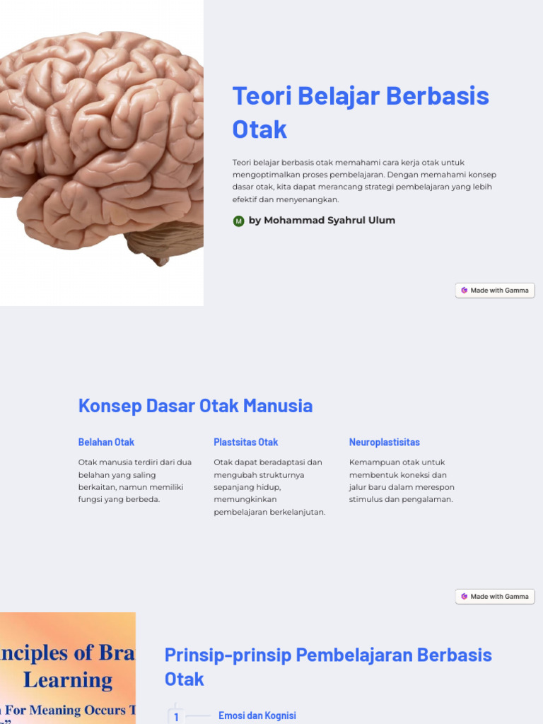 Teori Belajar Berbasis Otak | PDF
