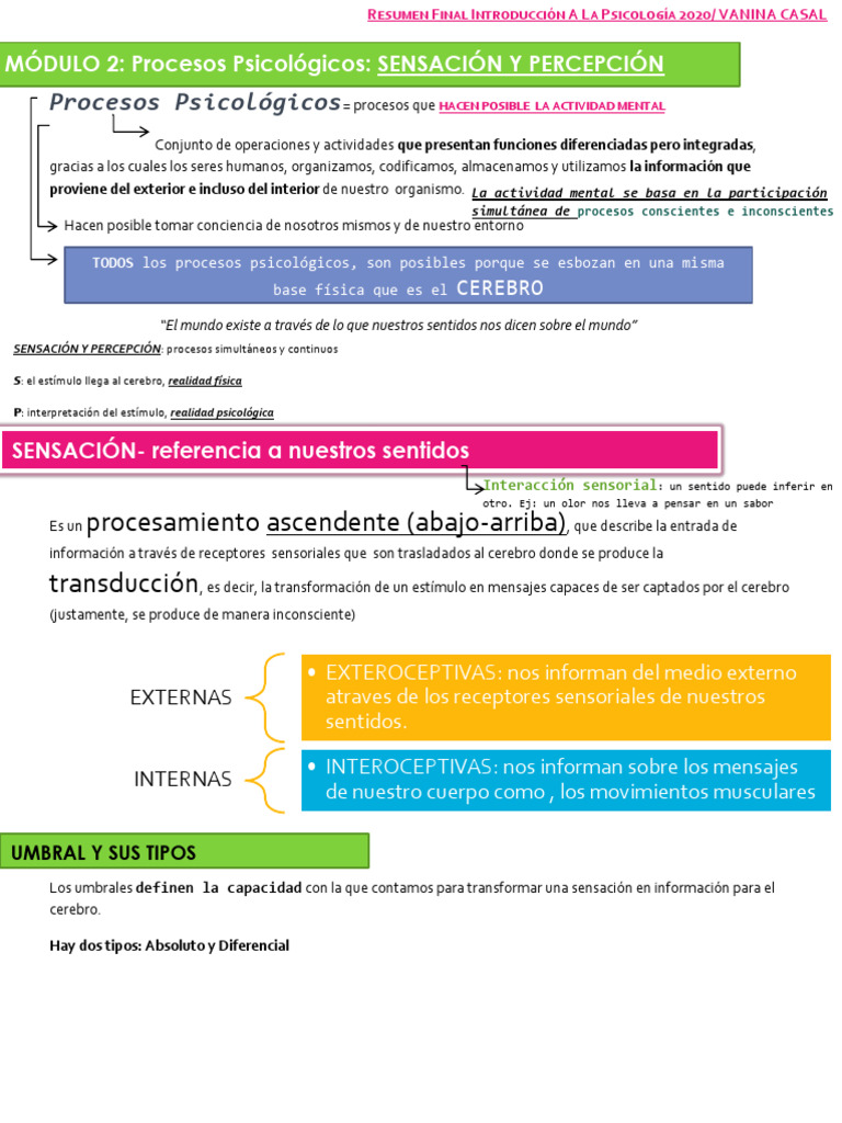 Resumen U4 INTRODUCCION - Sensacion y Percepción PDF | PDF | Sentidos | Percepción