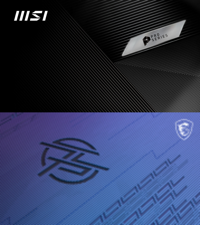 Msi Pro | PDF