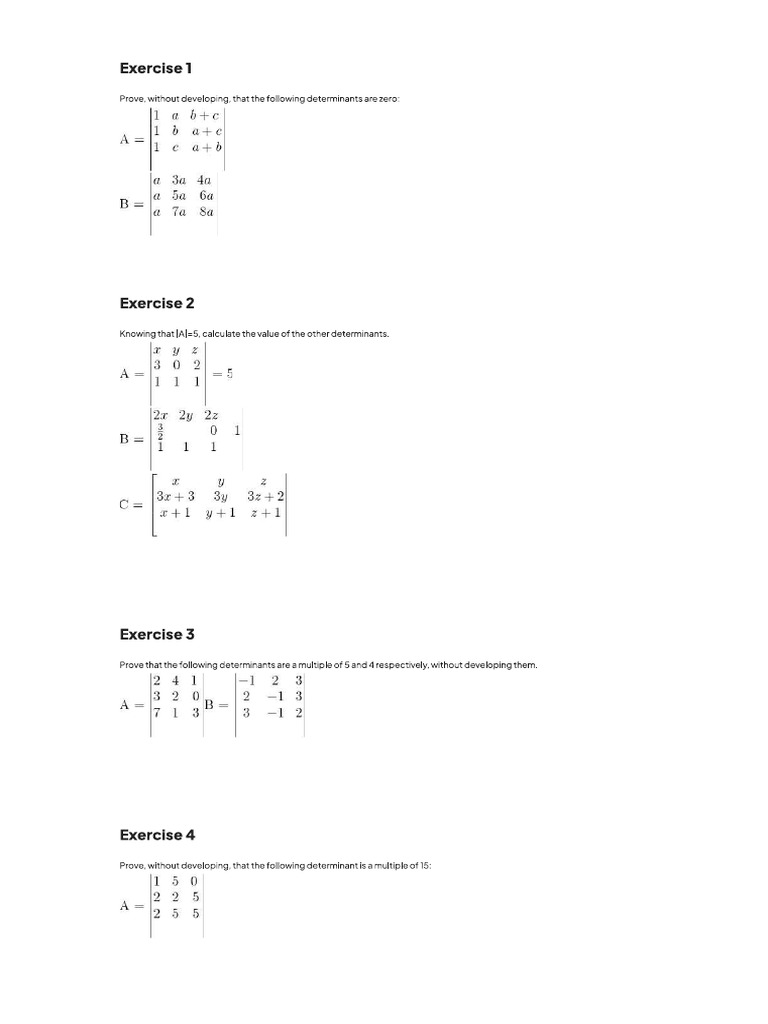 Determinant Worksheet | PDF