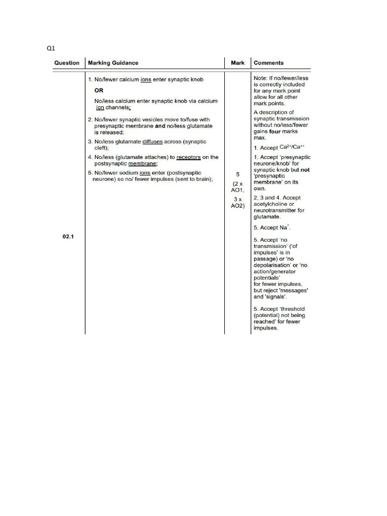 Combined MS Y13 Biology | PDF | Skeletal Muscle | Proteins