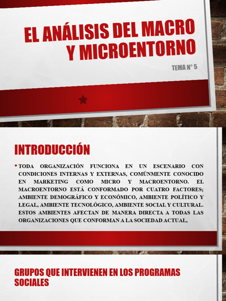 TEMA 5 Analisis de Macro y Micro | PDF | Marketing | Comportamiento