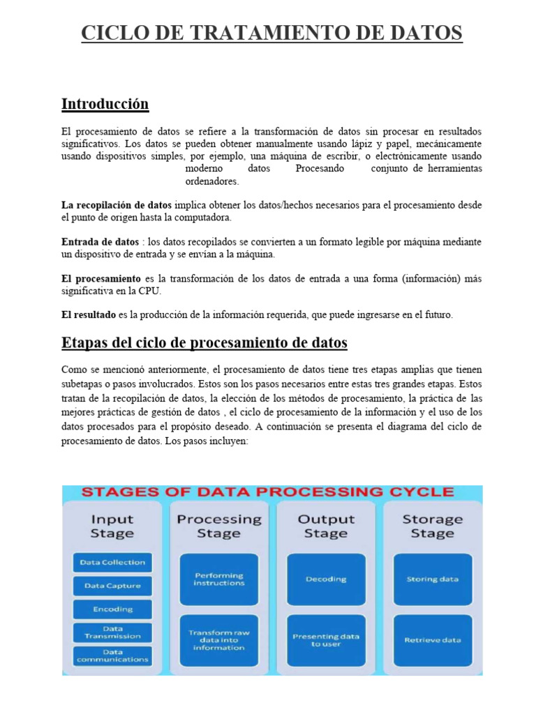 Ciclo de Procesamiento de Datos | PDF | Procesamiento de datos | Software