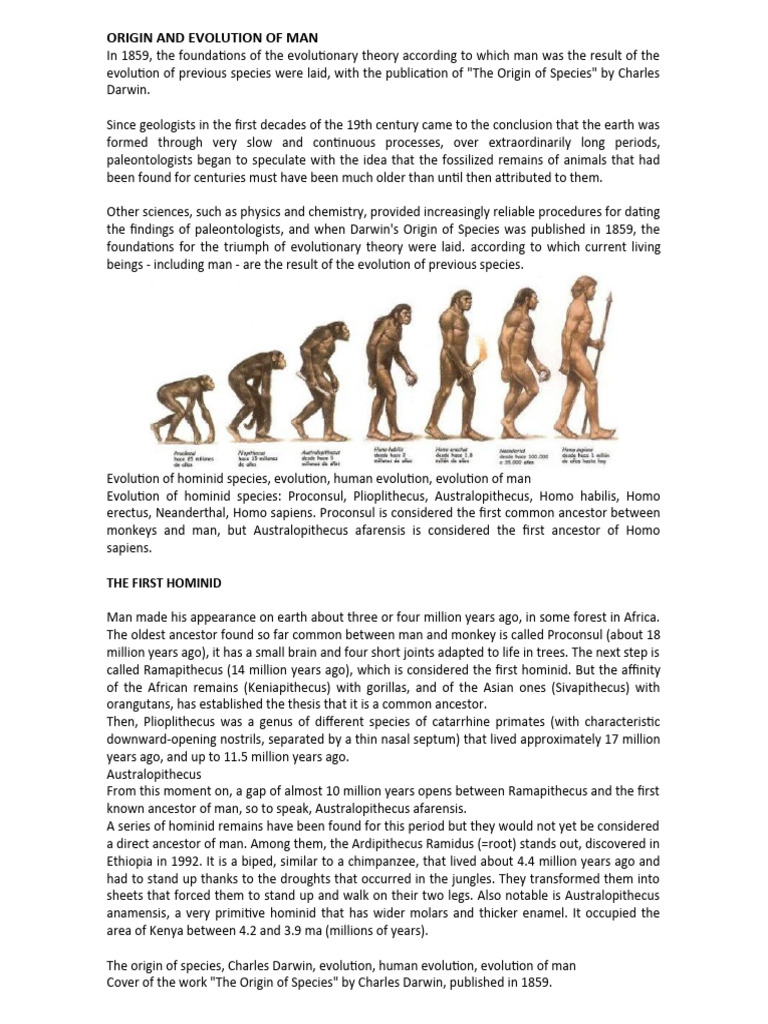 Origin and Evolution of Man | PDF | Homo | Human Evolution