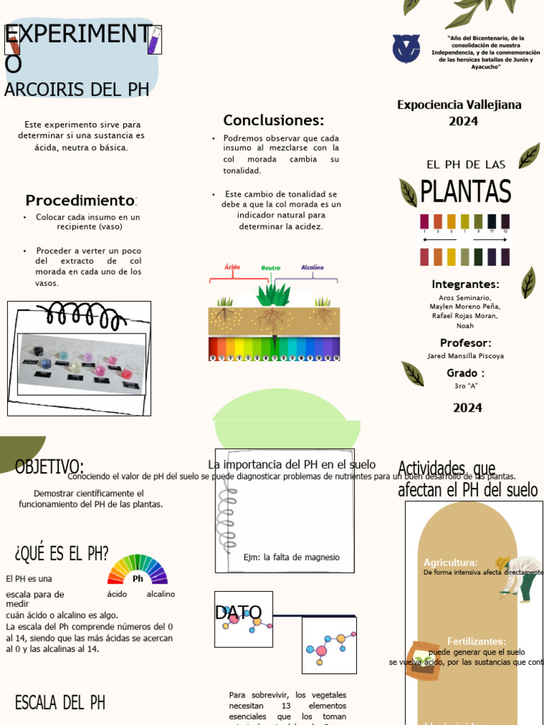 Tríptico Informativo Del Día Mundial de La Educación Ambiental Ilustrado Verde | PDF | Ph ...