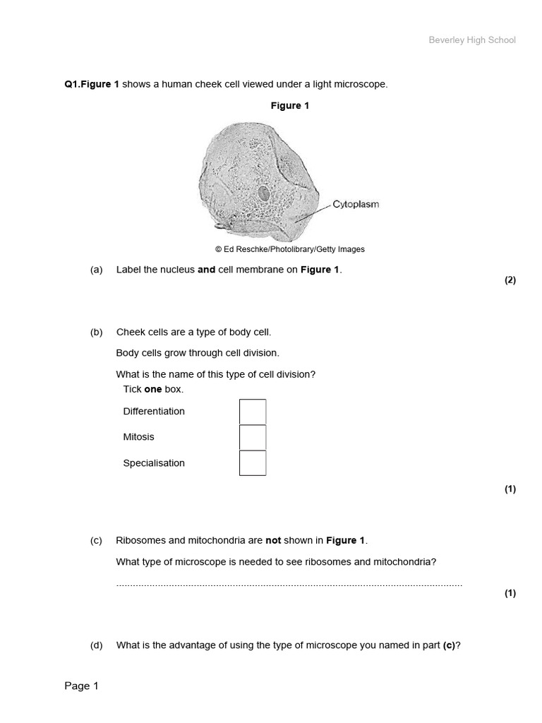 Topic 1 - Cell Biology Exam Questions and Mark Schemes | PDF | Cell ...